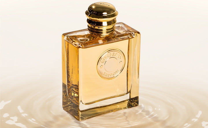 10 Best Tonka Bean Perfumes and Colognes – Fragrance Outlet