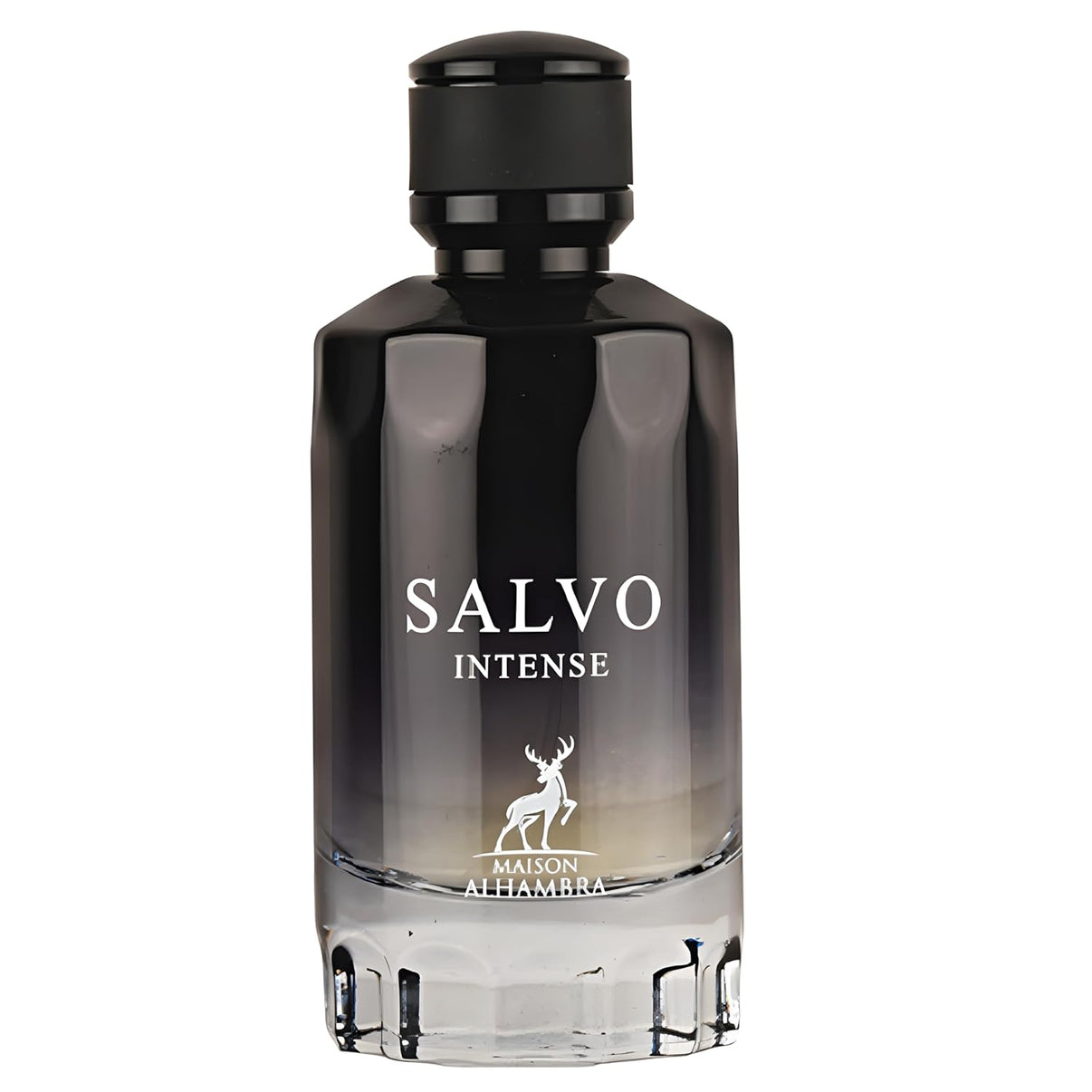 Salvo Intense Cologne – Fragrance Outlet